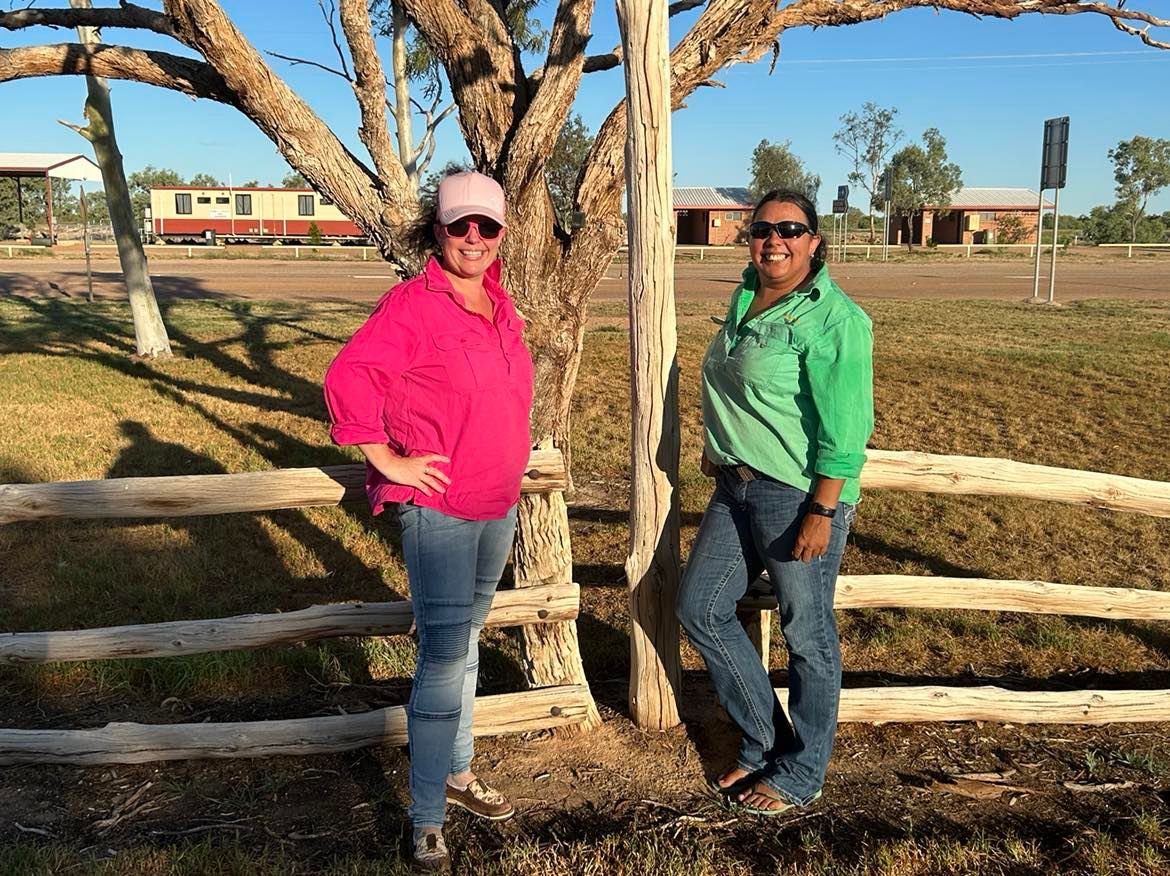 Outback Queensland towns Bedourie, Birdsville cut off by floodwater ...