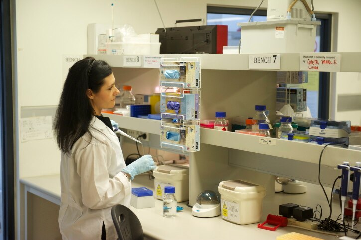 DNA uncovers even more from museum specimens - ABC listen