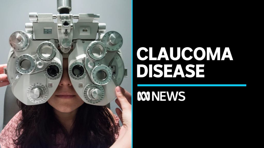 Students with disabilities showcase new filmmaking skills - ABC News