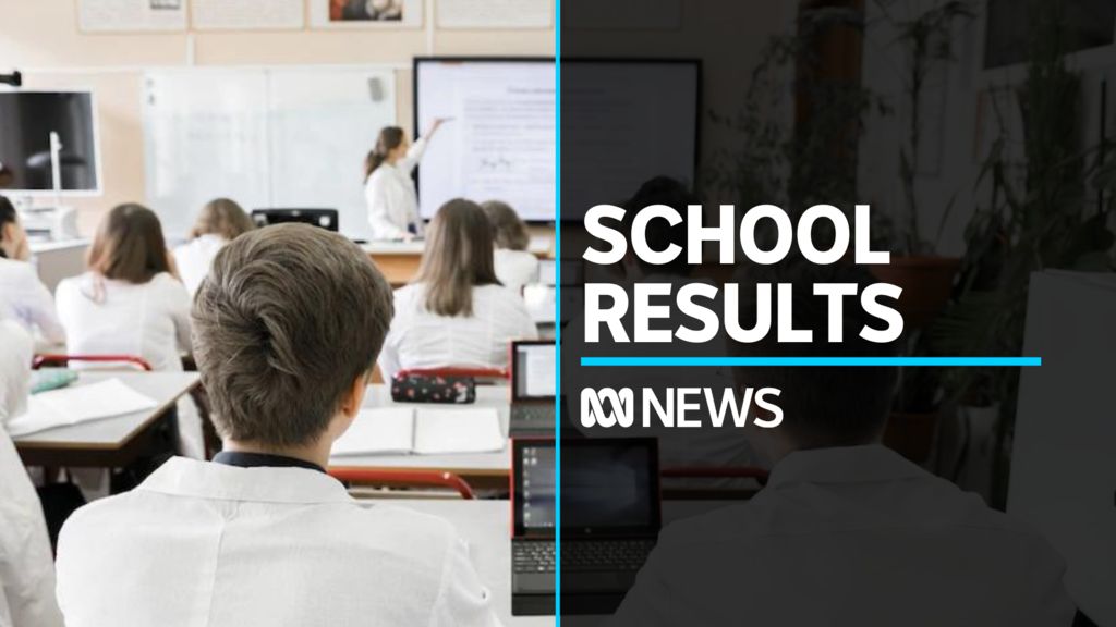 What the Education Minister makes of NAPLAN results - ABC News