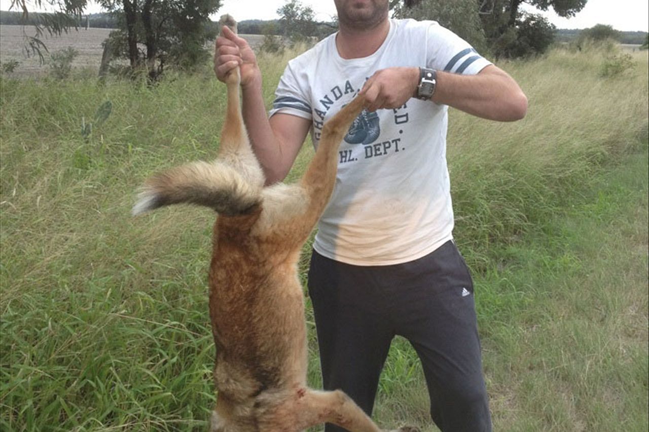 How Do Dogs Help The Environment