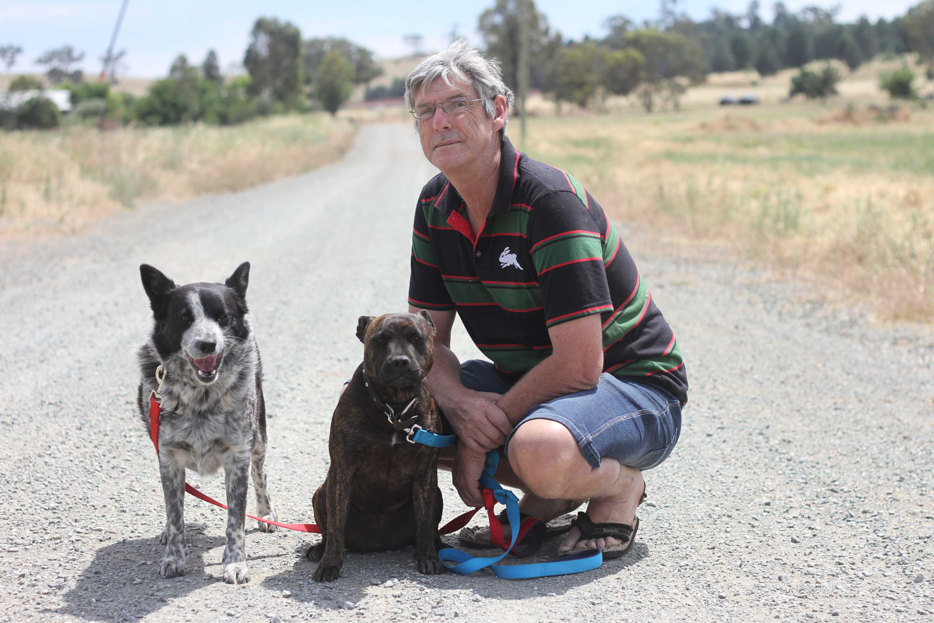 The lesson - ABC Radio National