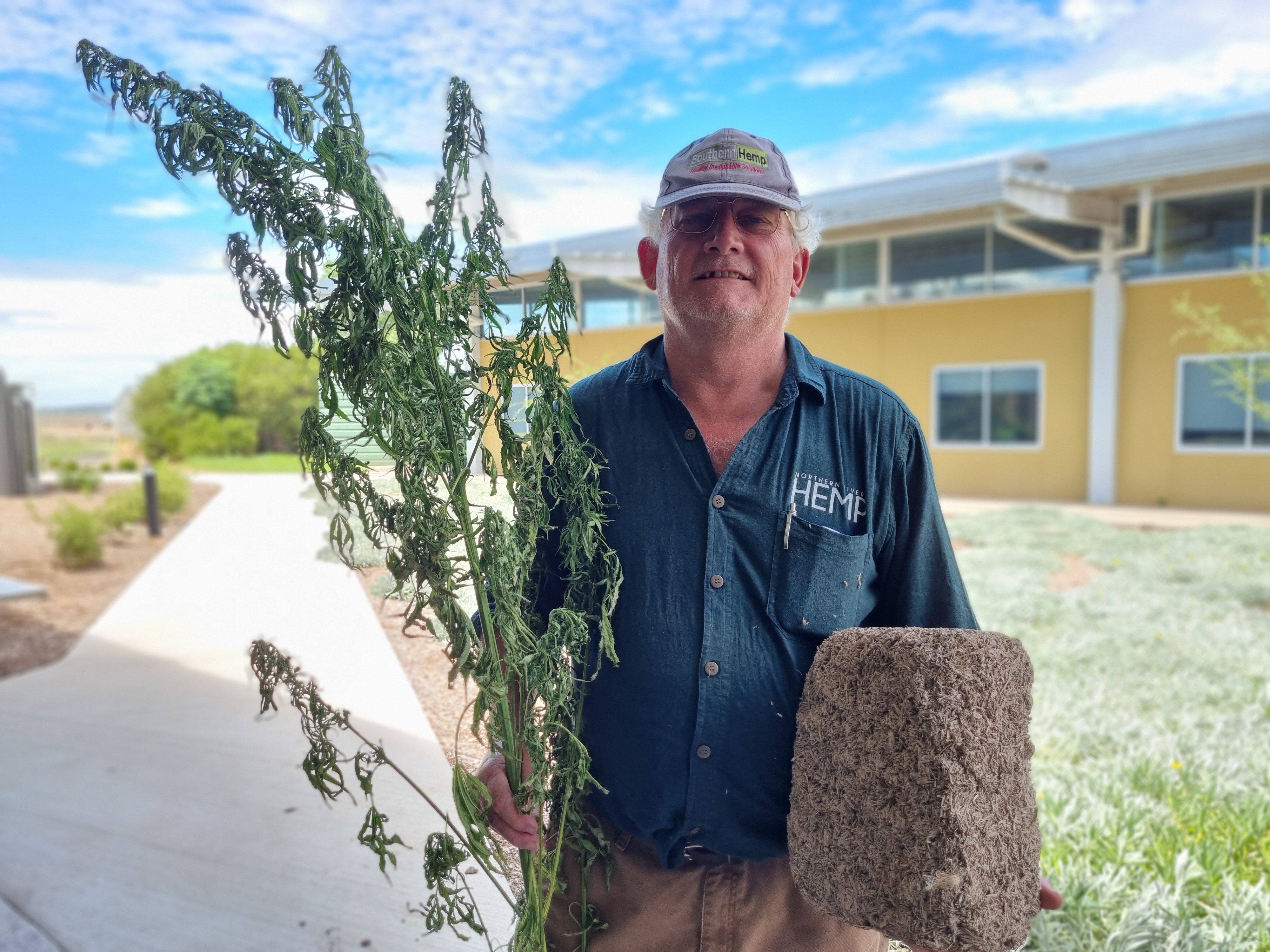Industrial hemp crop trial gives new hope for Australian industry - ABC ...