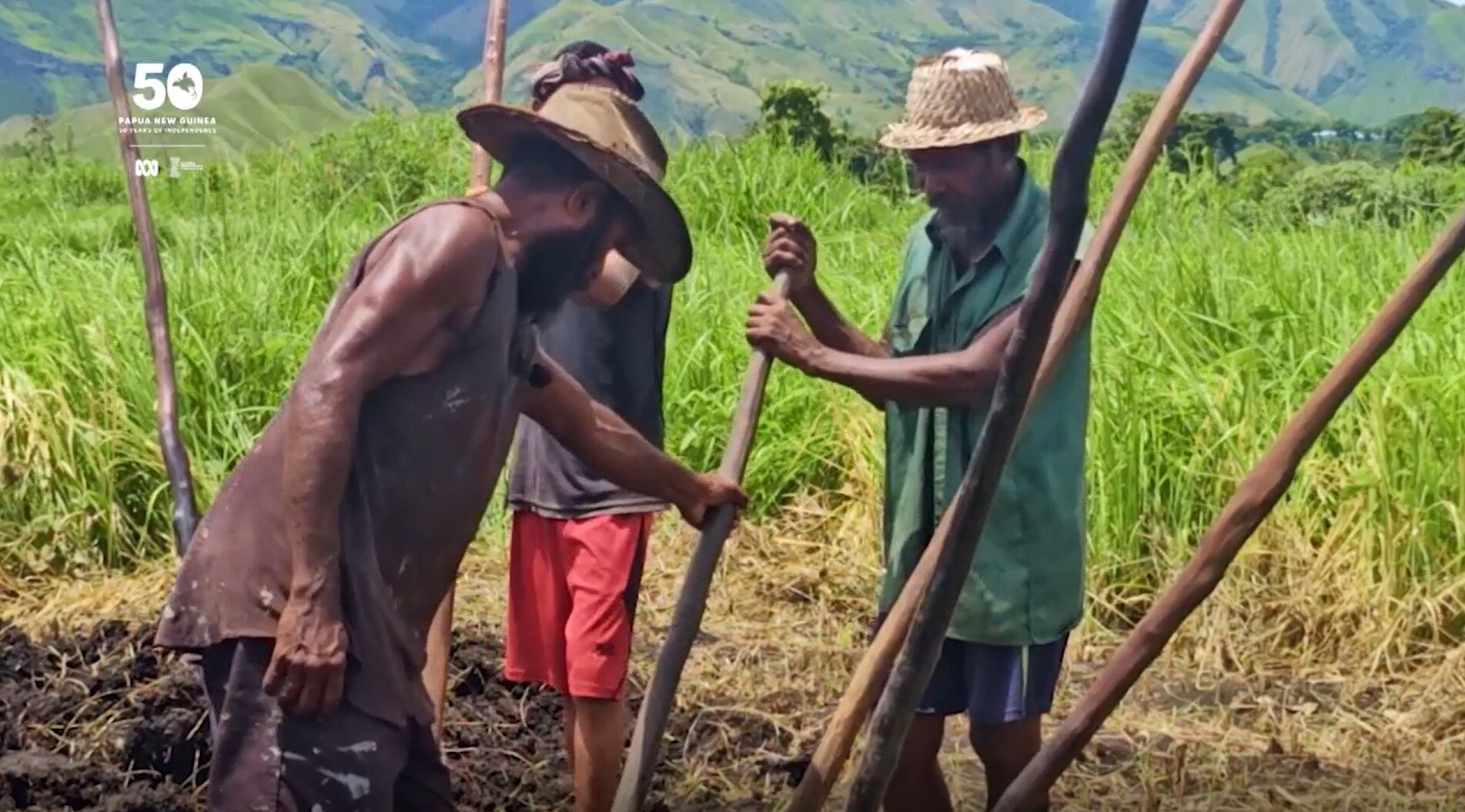 Pasin Wantok: Tradition irrigation of Wamira - ABC Pacific