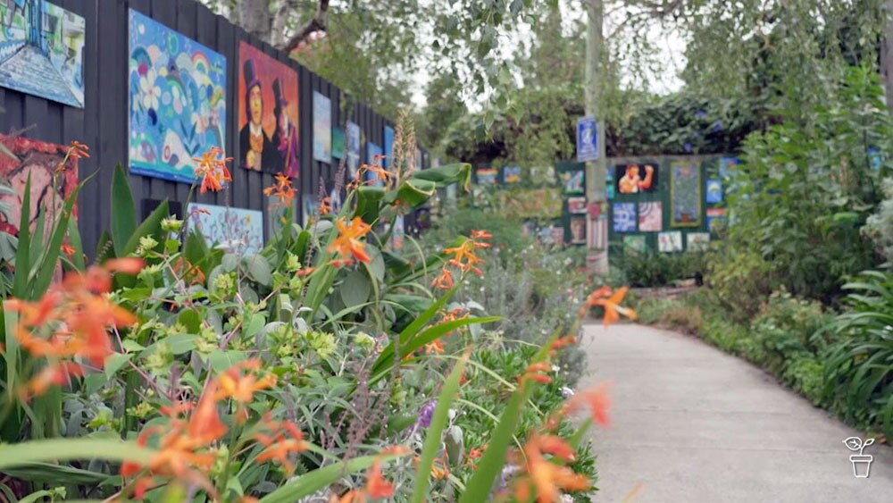 Laneway Loving - Gardening Australia