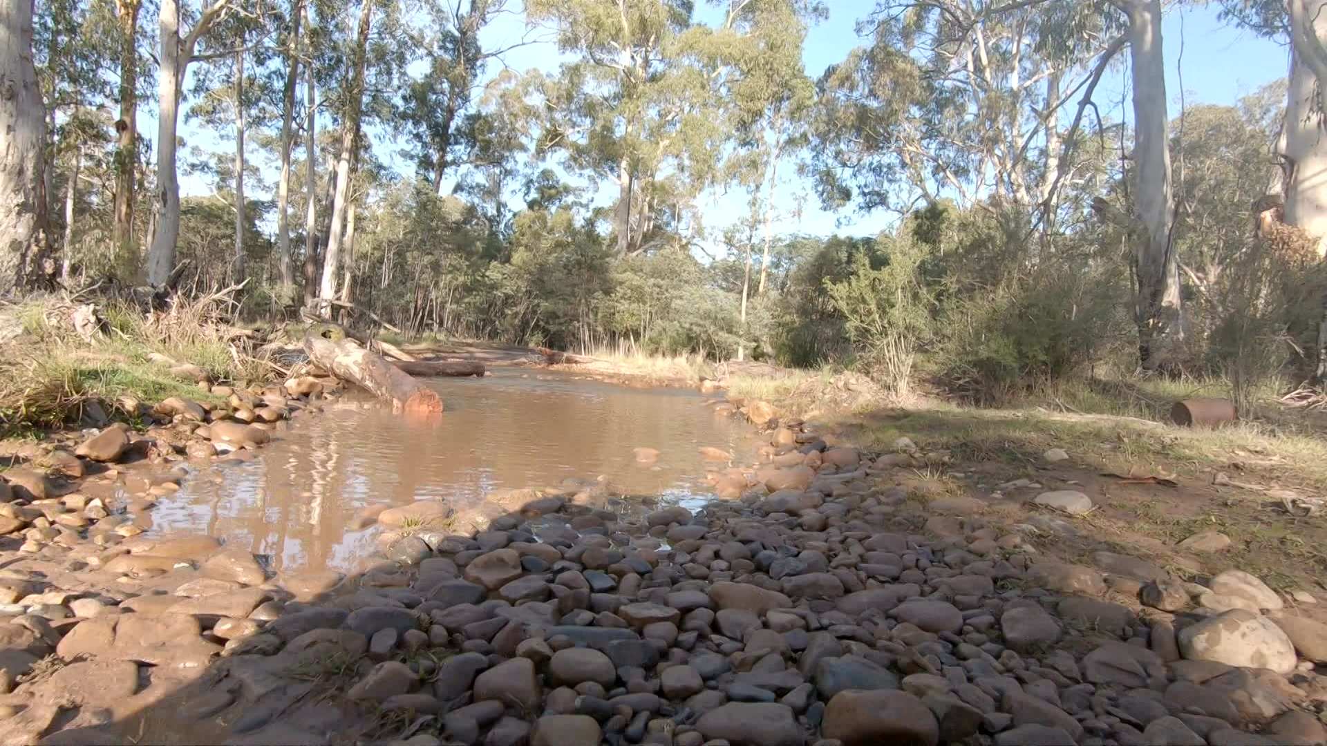 How Russell Hill, Carol Clay, Niels Becker and Conrad Whitlock went ...