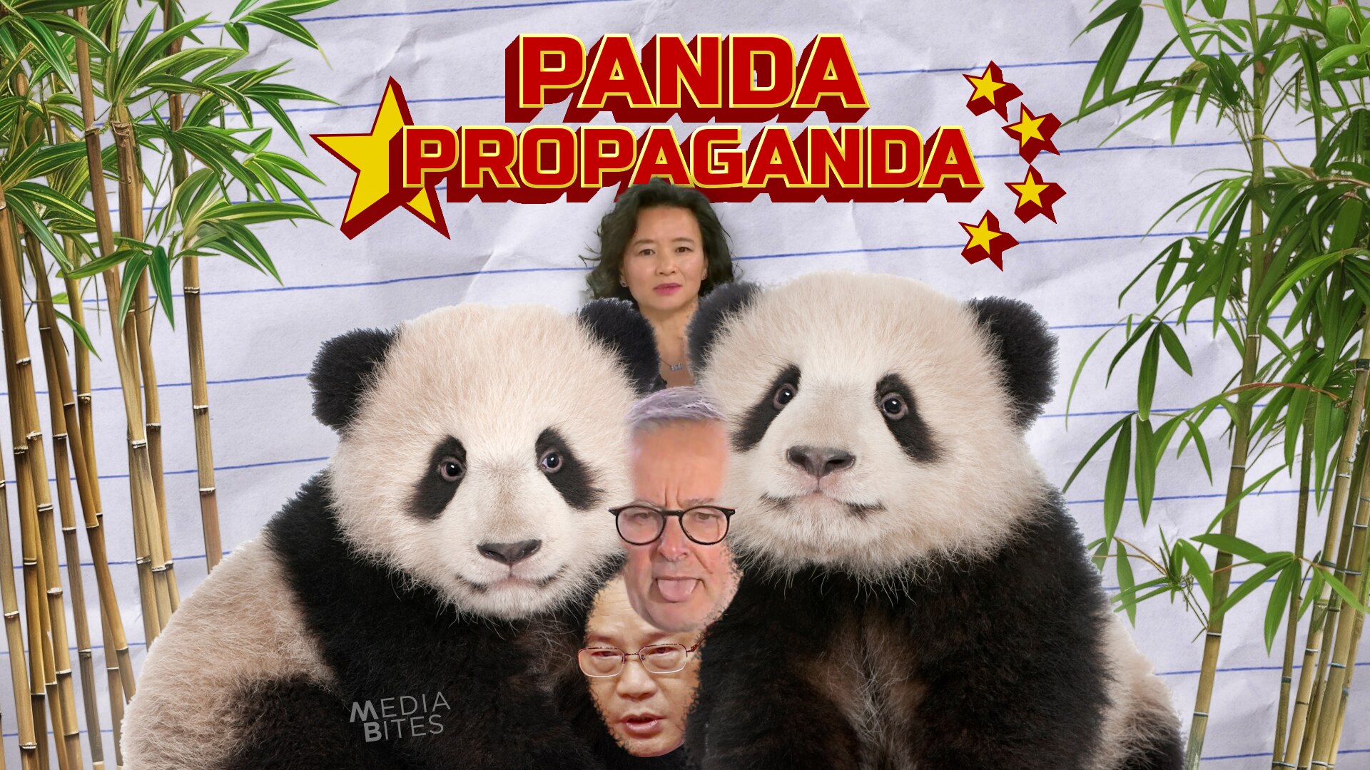 Panda Propaganda - Media Watch