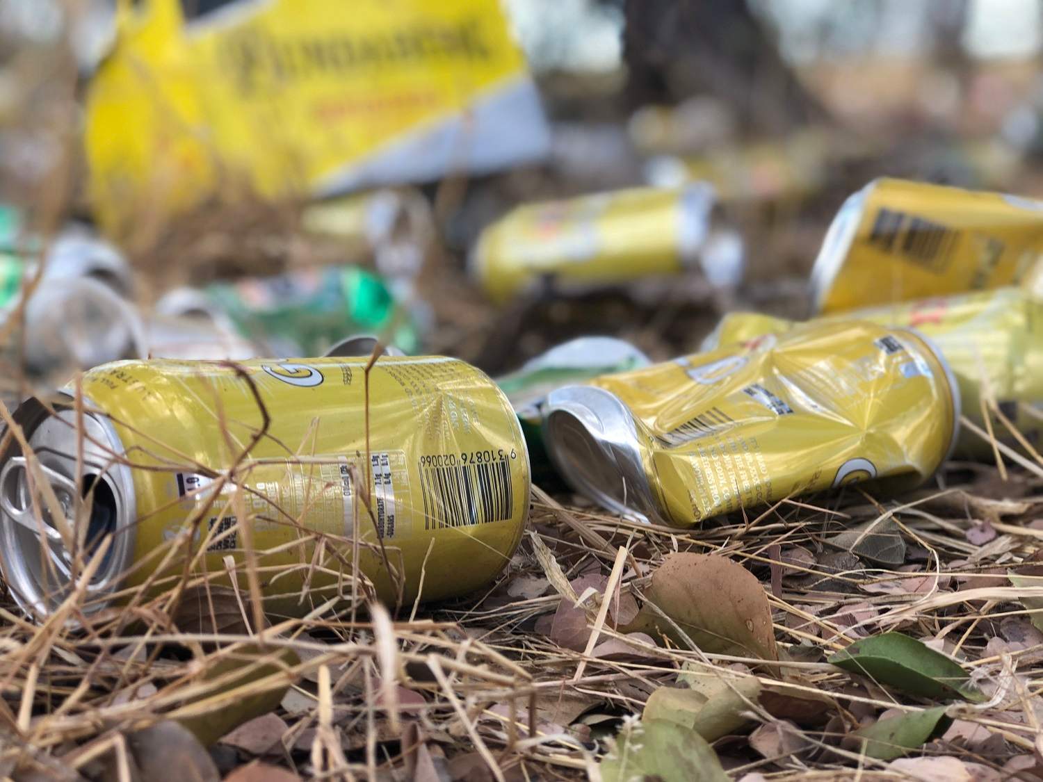 Doomadgee mayor Jason Ned dies aged 47, tributes flow for 'passionate ...