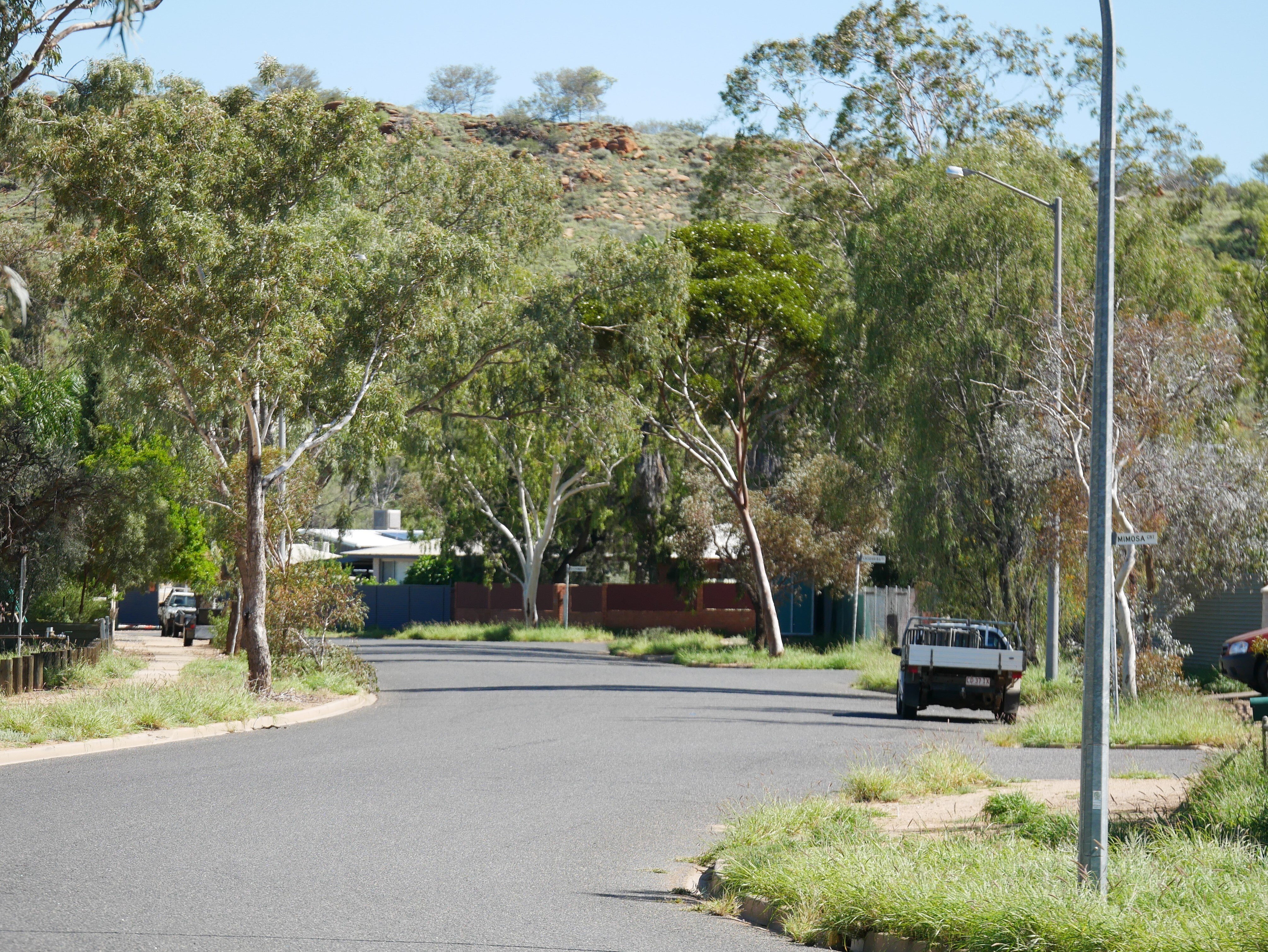 NT Police say woman allegedly attacked, hit in head during home ...