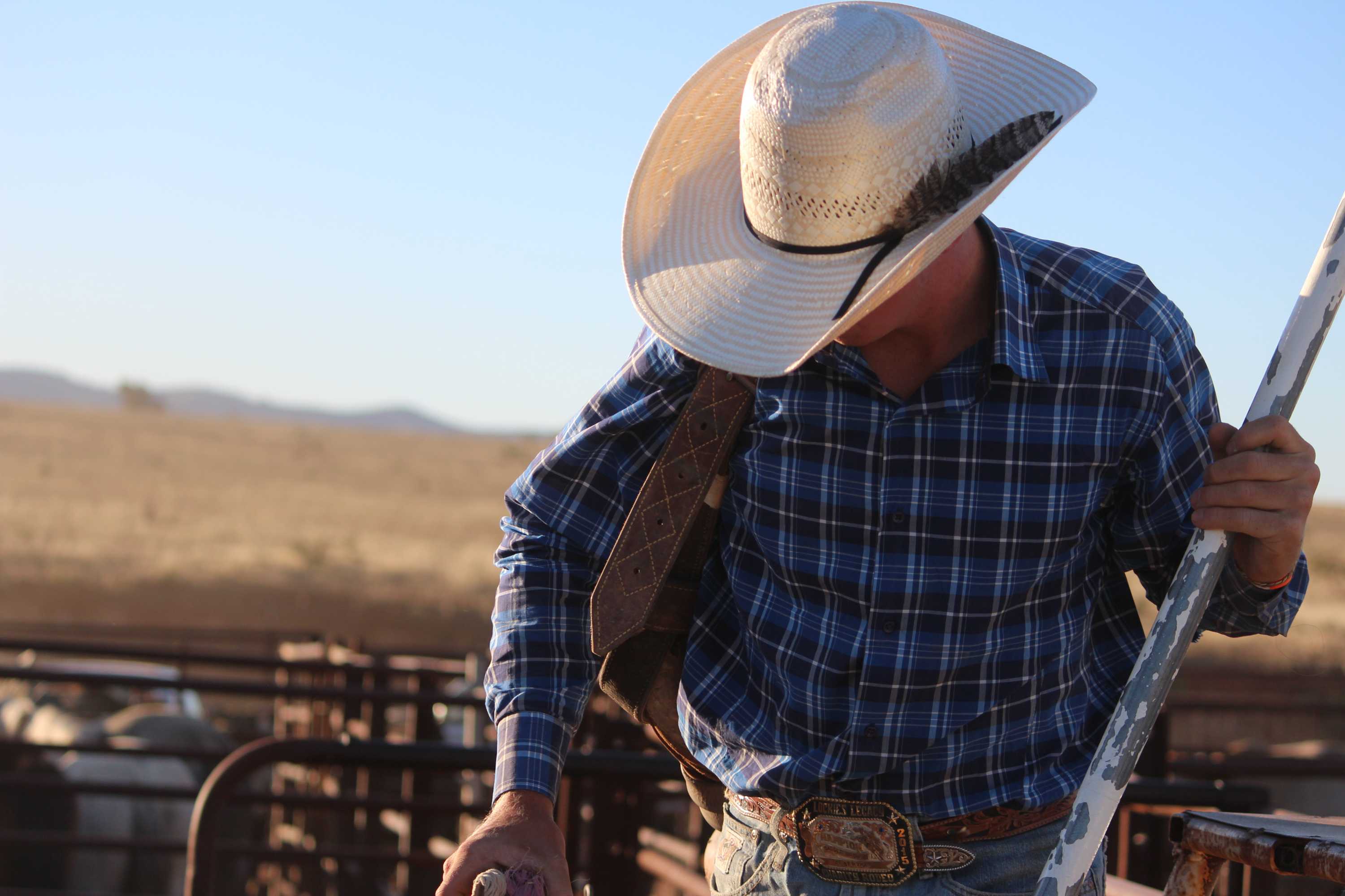 Carrieton 2015: Cowboys light up Christmas in outback SA - ABC News