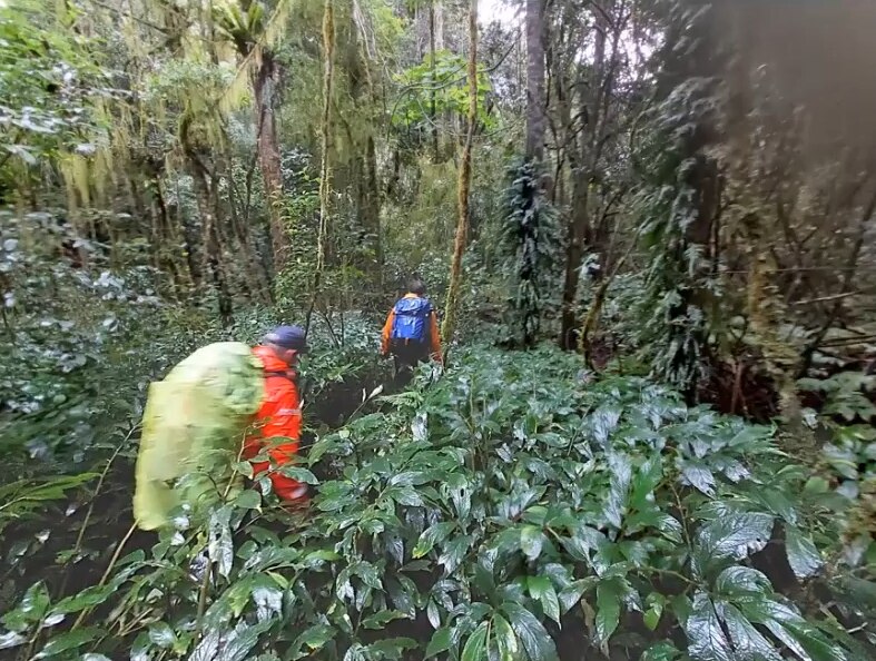 Search continues for missing plane VH-MDX which disappeared over ...