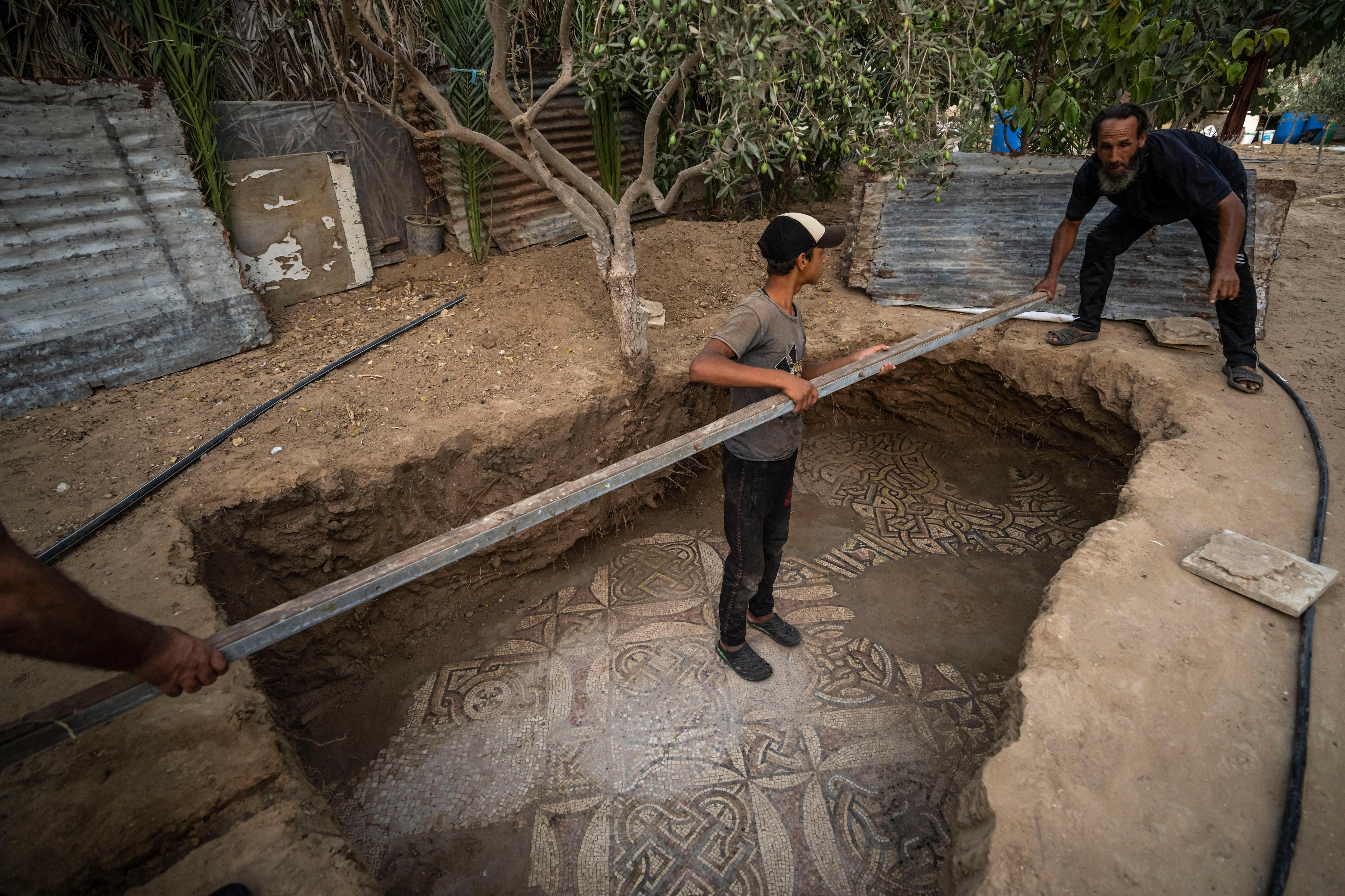 Palestinian farmer discovers rare Byzantine-era mosaic while planting ...