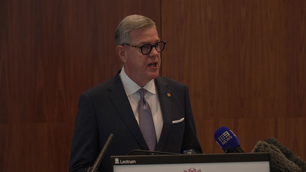 Mr Nicholls said there had been an "apparently unauthorised provision ...