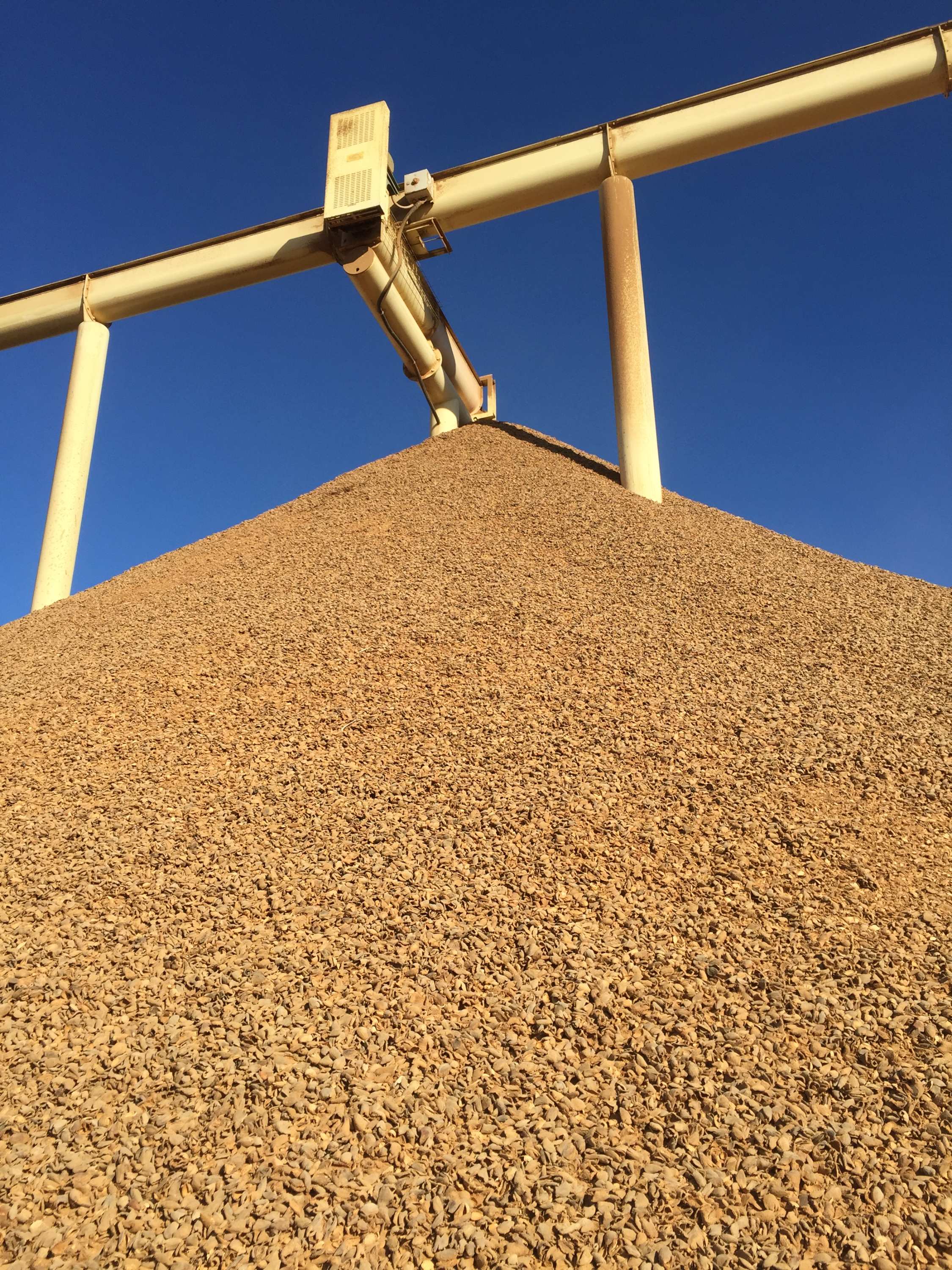Biomass plant and almond only processing line win state funding ...