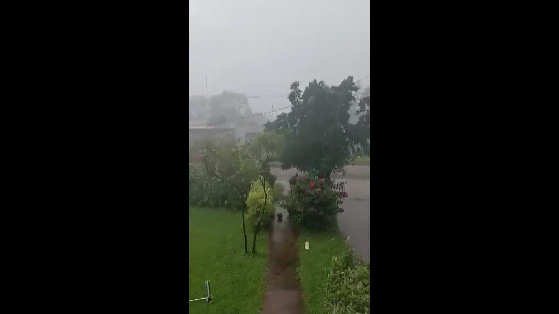 Weipa Cyclone Vision - ABC News