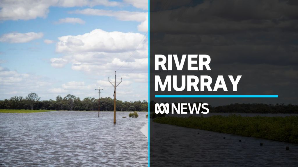 5 Fast Facts About The River Murray – ZYGQN