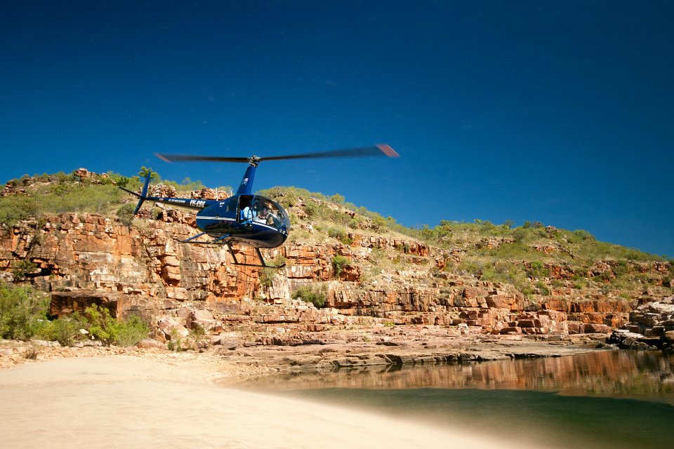Australia's unique, golden-backed tree-rats and why we need to save ...