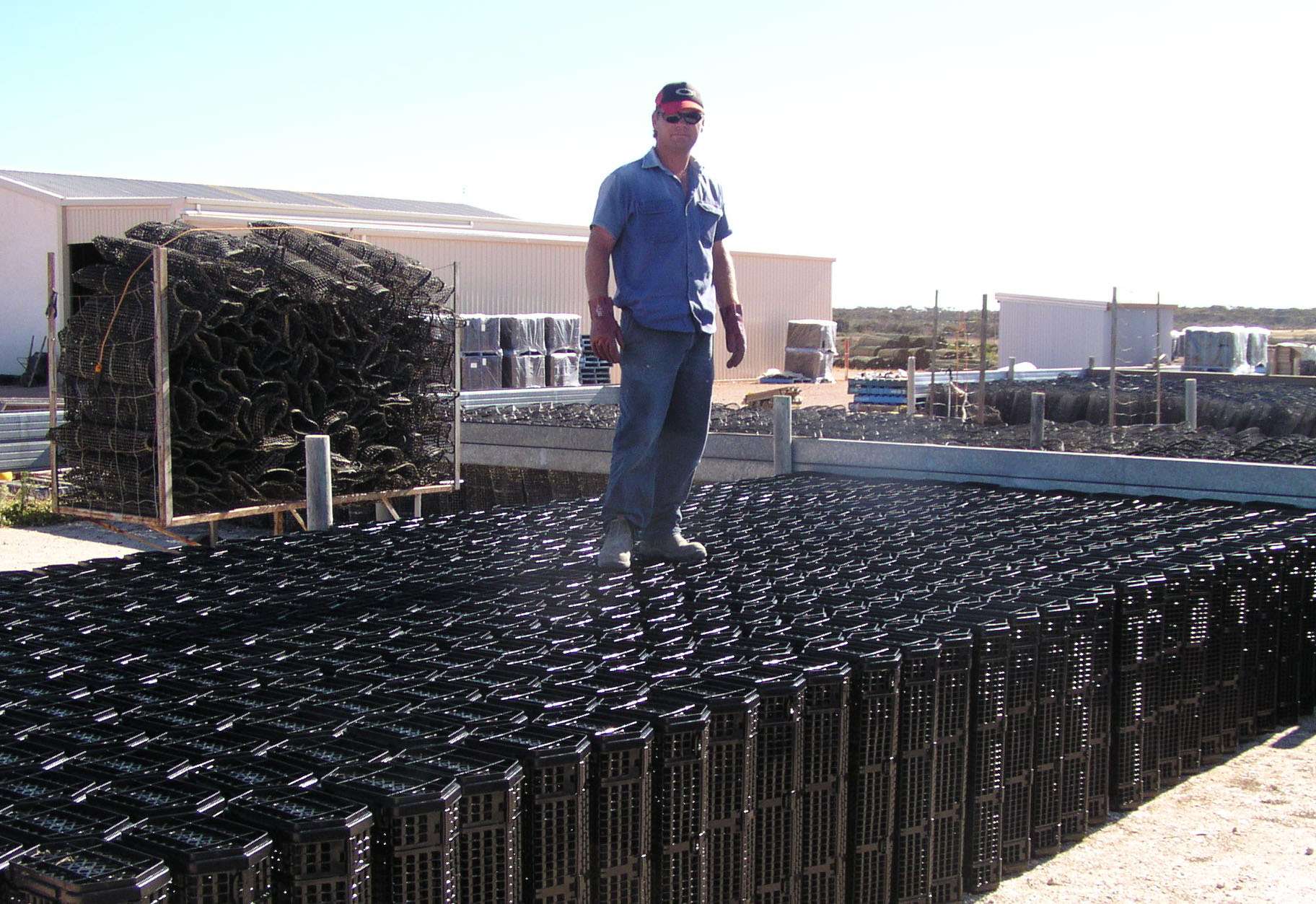 How frustration with oyster baskets led to an innovation award for a SA ...