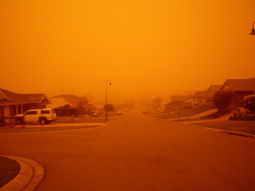 Dust creates 'perfect storm' for asthmatics - ABC News