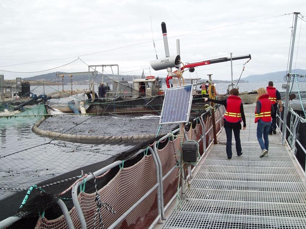 Tasmania's third fish-waste processing plant wins EPA approval, with ...