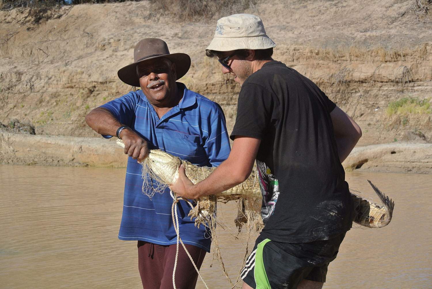 Birdsville croc moved to Gold Coast theme park - ABC News