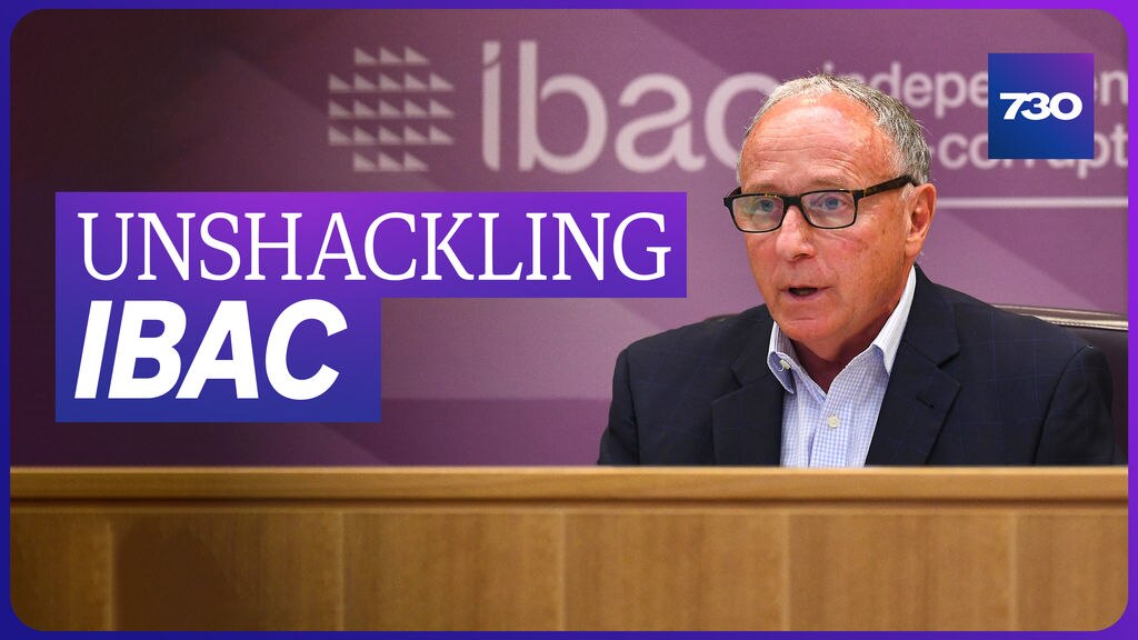 Robotics and AI are set to revolutionise aged care - ABC News