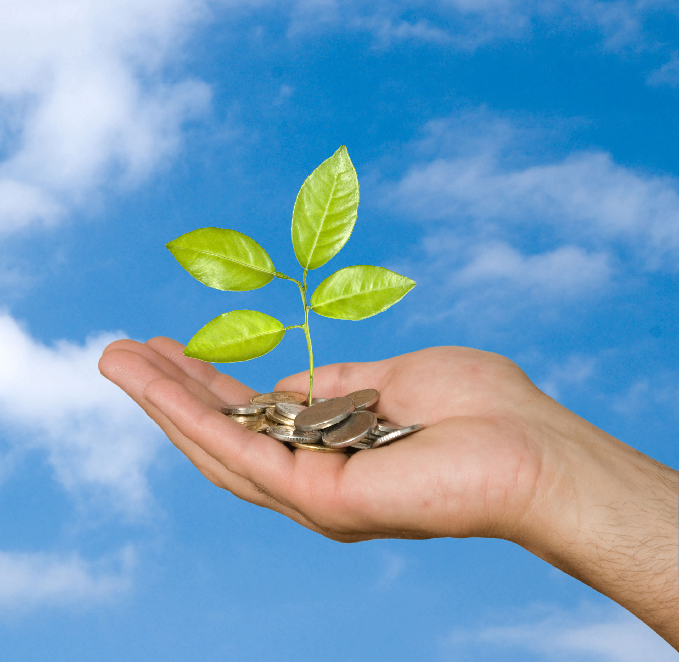 David Shearman - ABC News