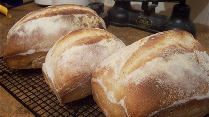Passionate sour dough bread - ABC News