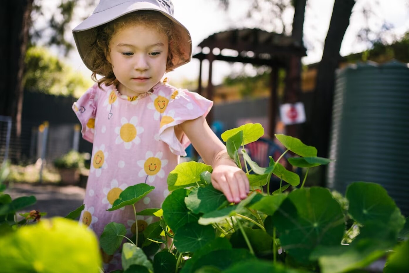 Bushfire - Helping Hands Disaster Resilience Tool Kit - Early Education ...