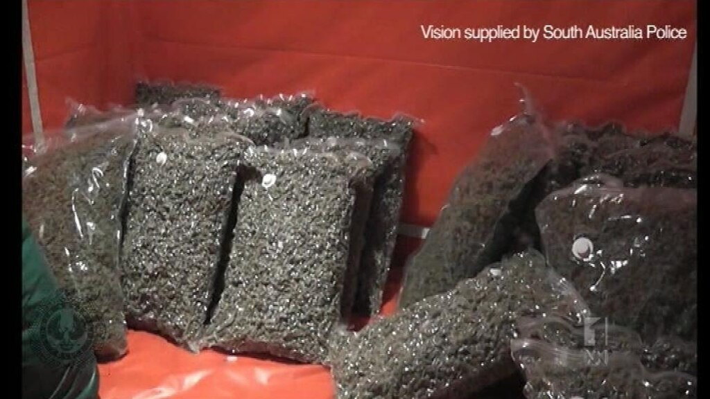 Police find drugs in 'secret room' - ABC News
