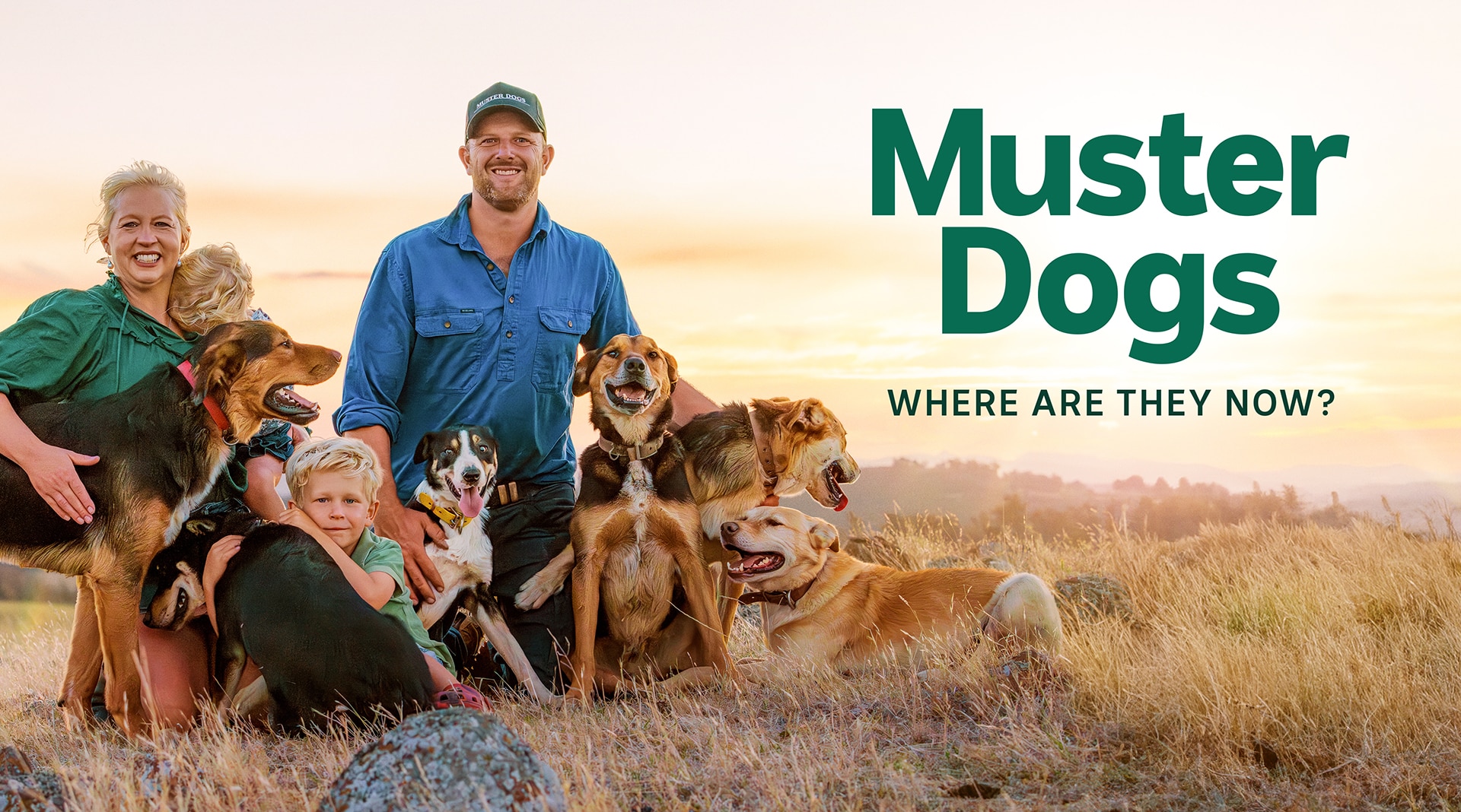 WBD's Ricochet to adapt Muster Dogs in UK - ABC Content Sales