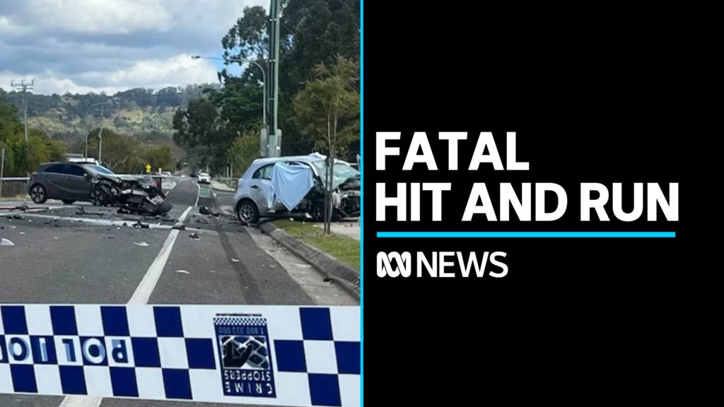 Man arrested over fatal hit and run in a school zone - ABC News