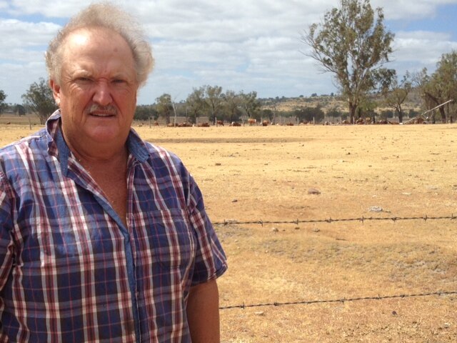 Monto tells of flood one year on - ABC News