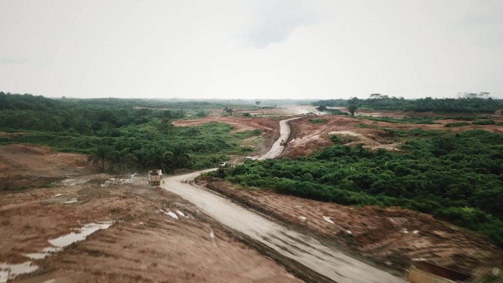 Clearing land on the Indonesia side of Borneo - ABC News