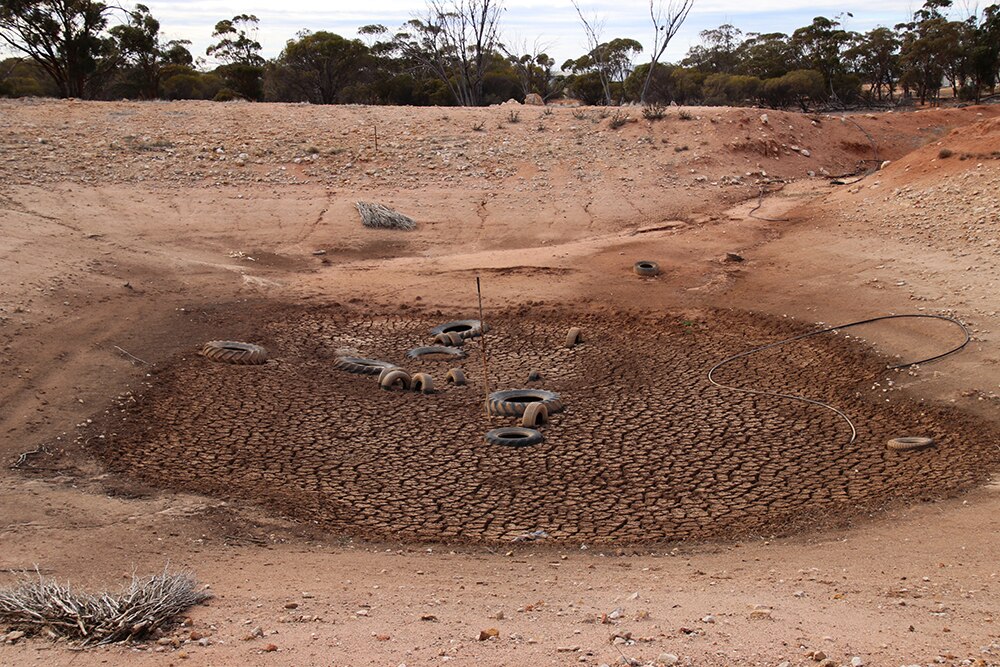 Army on standby to deliver stock supplies to drought-ravaged farms ...