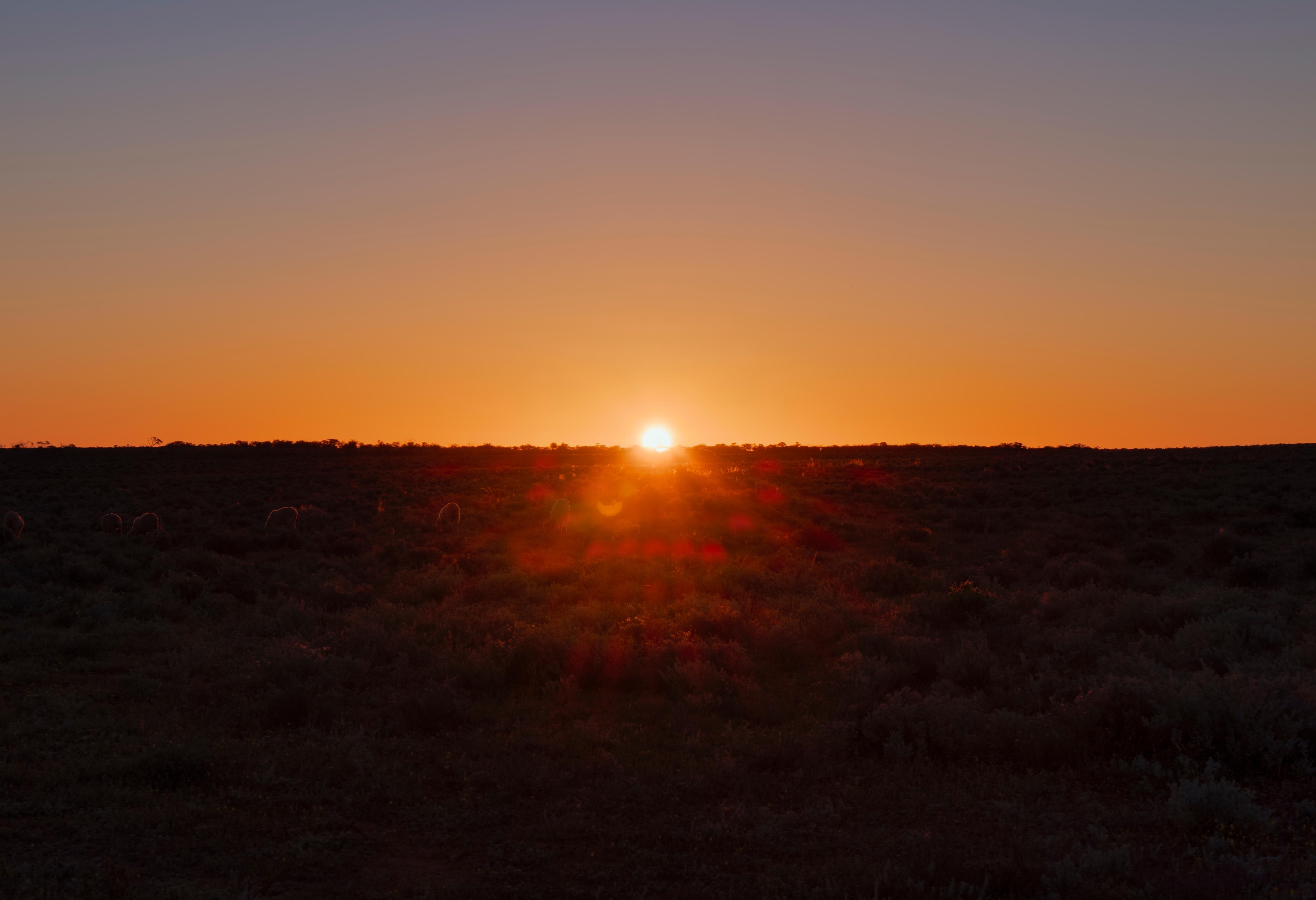 The Philosopher's Zone with David Rutledge - ABC listen