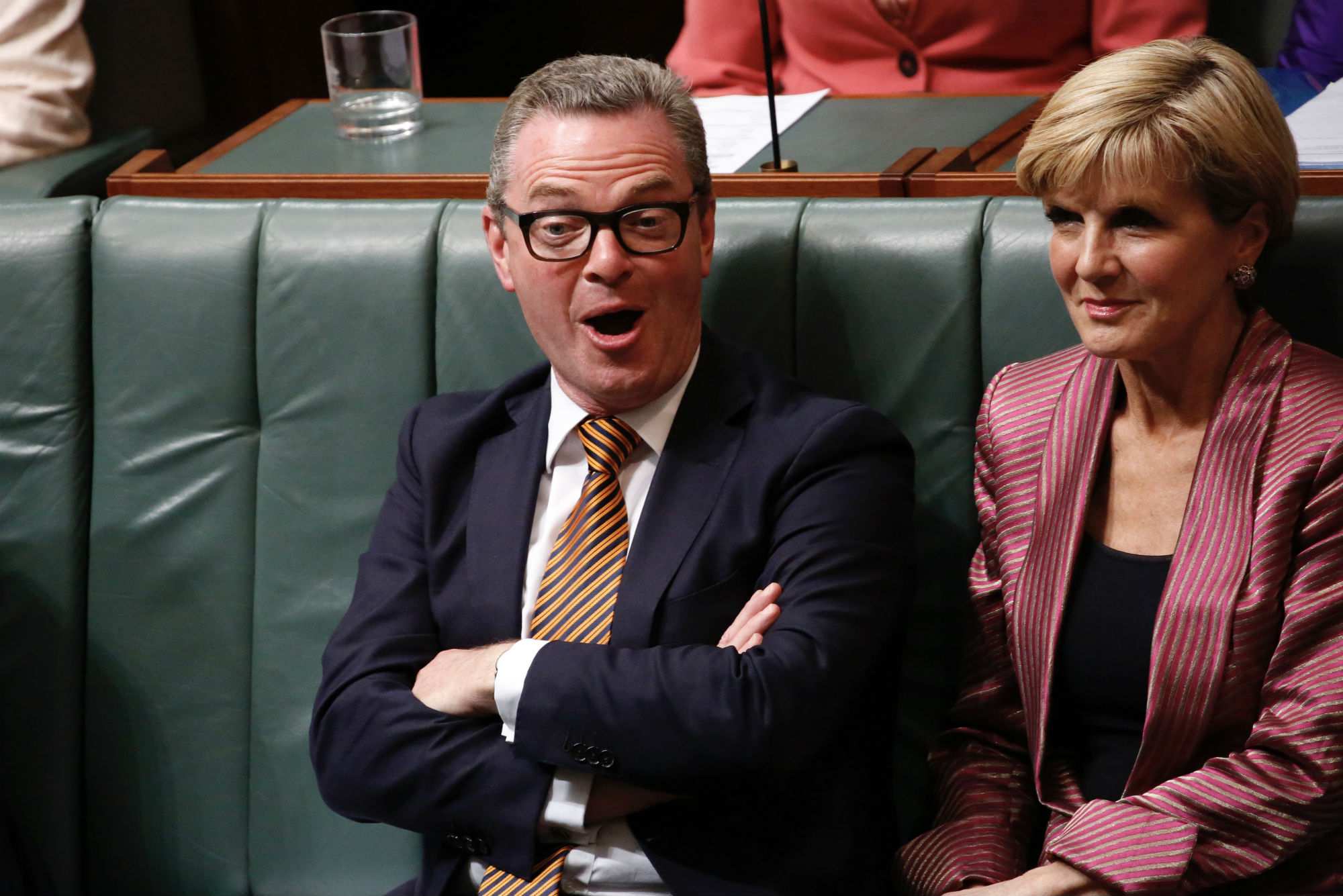 Nick Xenophon and Christopher Pyne will be notable absentees this ...