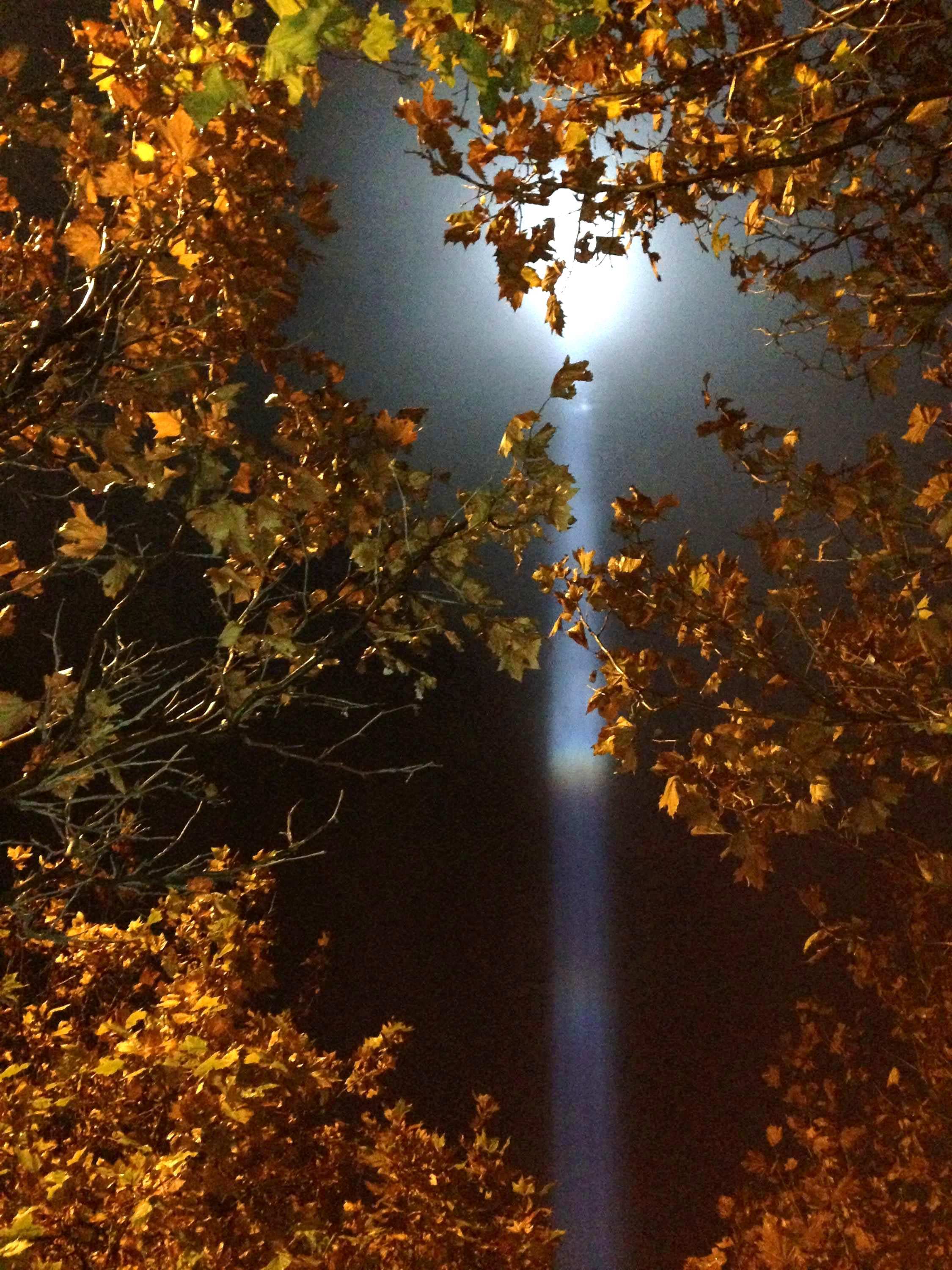 Blue Sky Breakfast. Can arts lead our recovery? - ABC listen