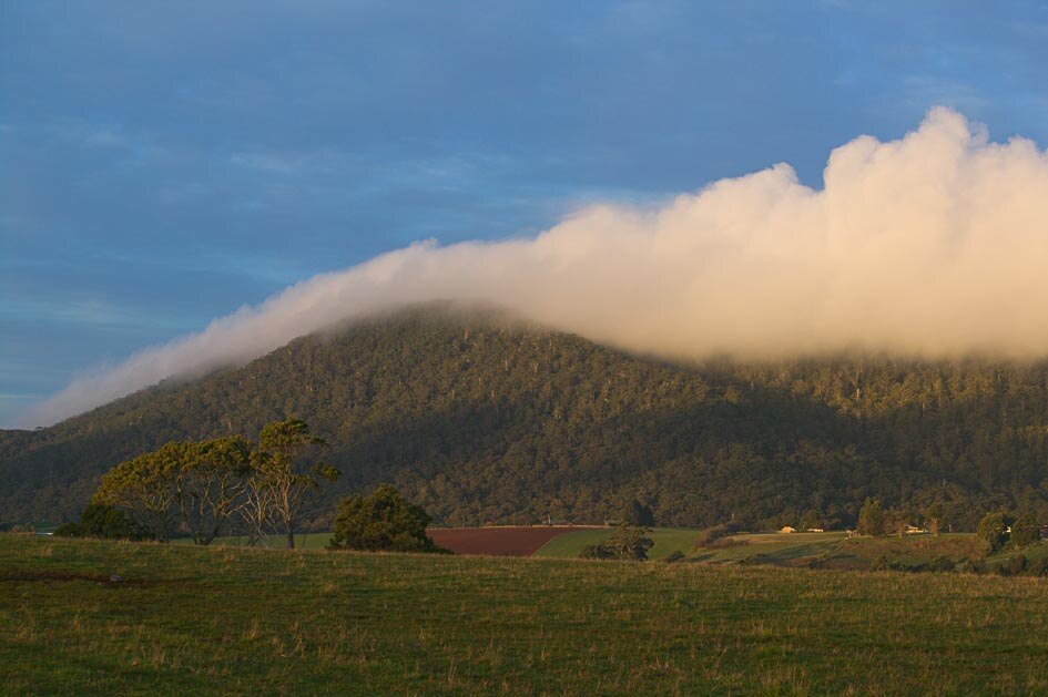 Brian Ritchie digs into his American music roots to play on a pig farm ...