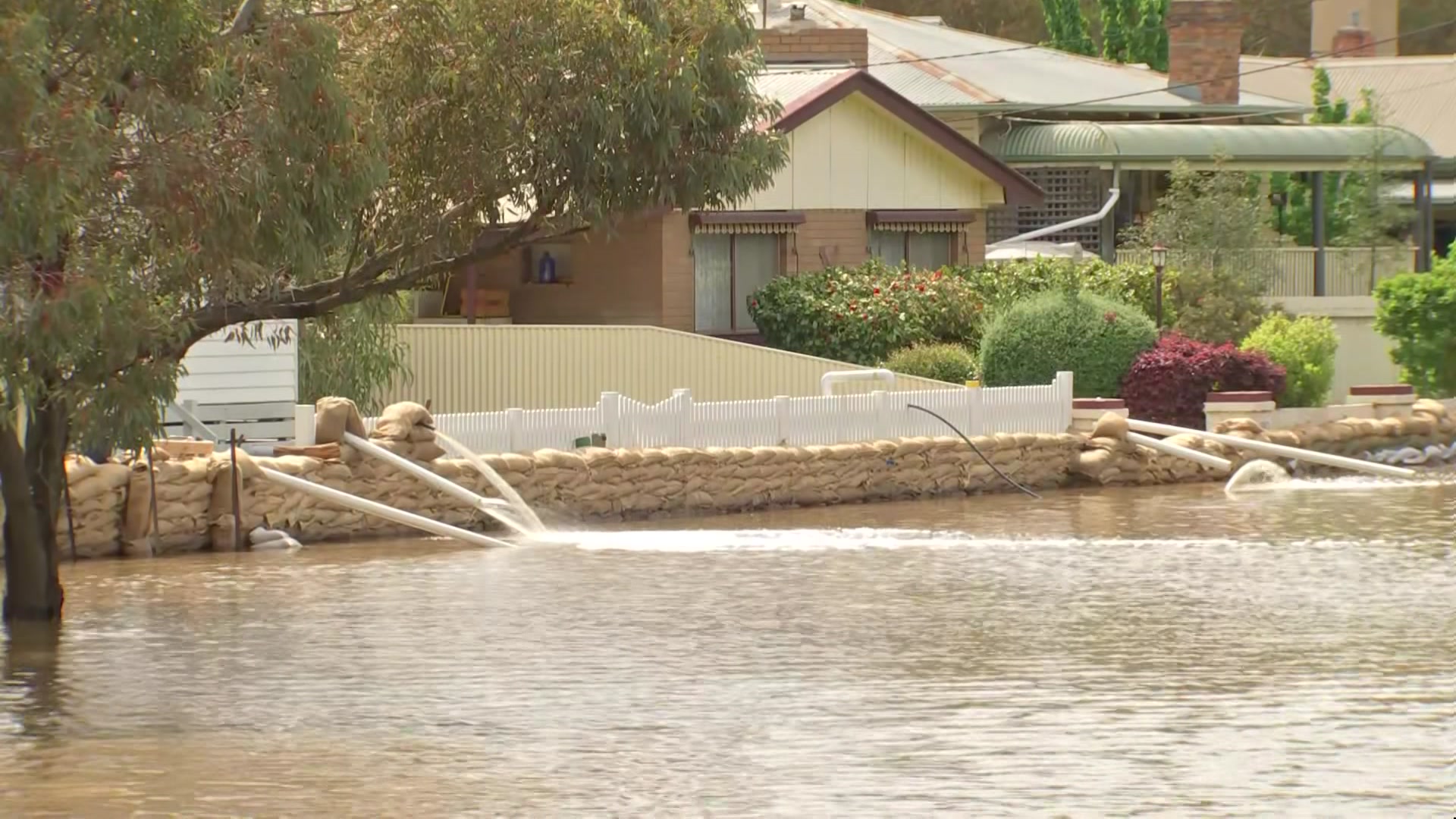 As Victorian floodwater peaks in Echuca, a tight-knit community comes ...