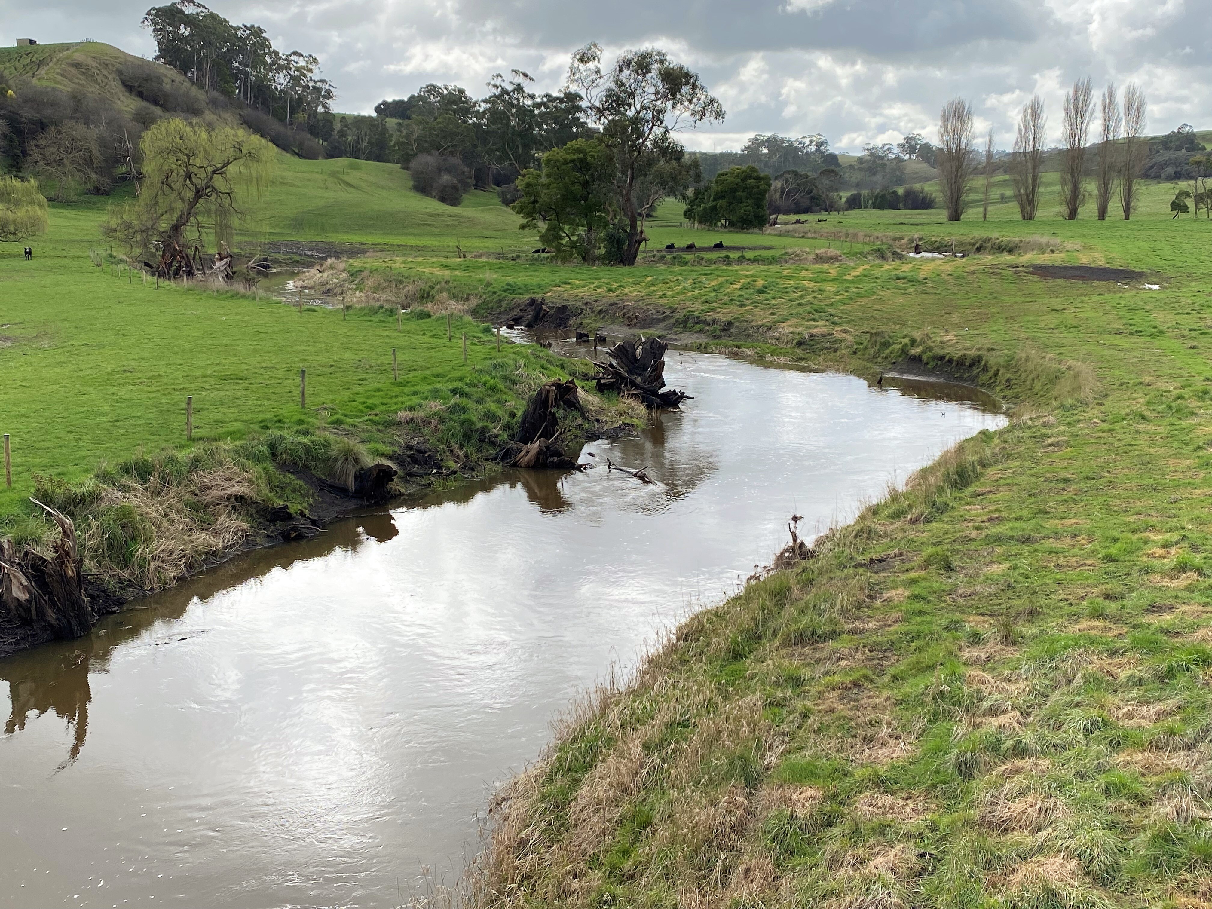 Talks begin to save Victoria's Curdies River after blue-green algae ...