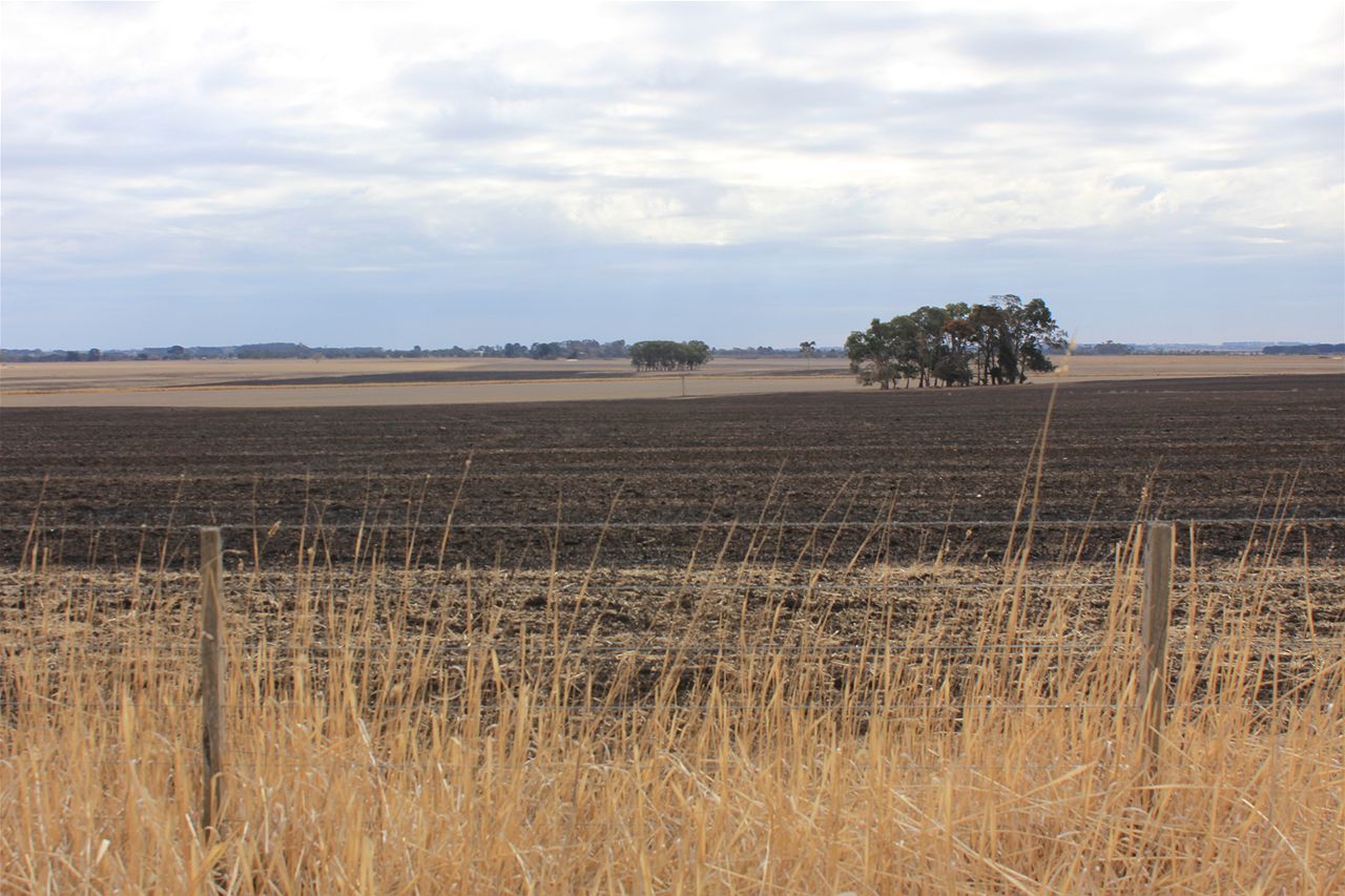 Dry as a bone in western Victoria - ABC News