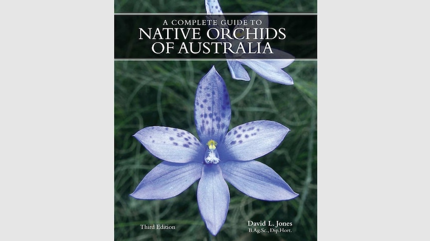 A Complete Guide to Native Orchids of Australia - ABC Radio National A Complete Guide to Native Orchids of Australia - ABC Radio National