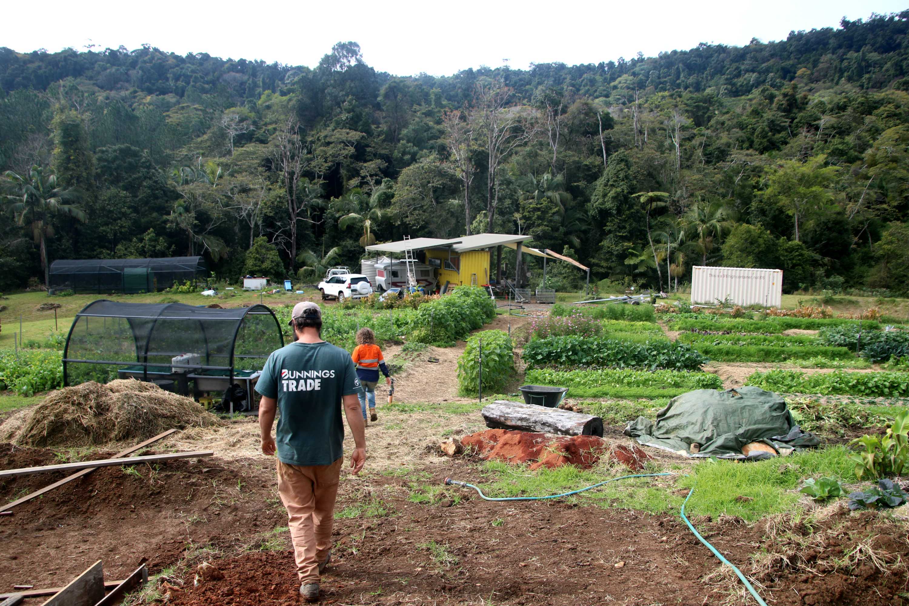 Farmers are tapping into subscription model to sell farm fresh produce ...