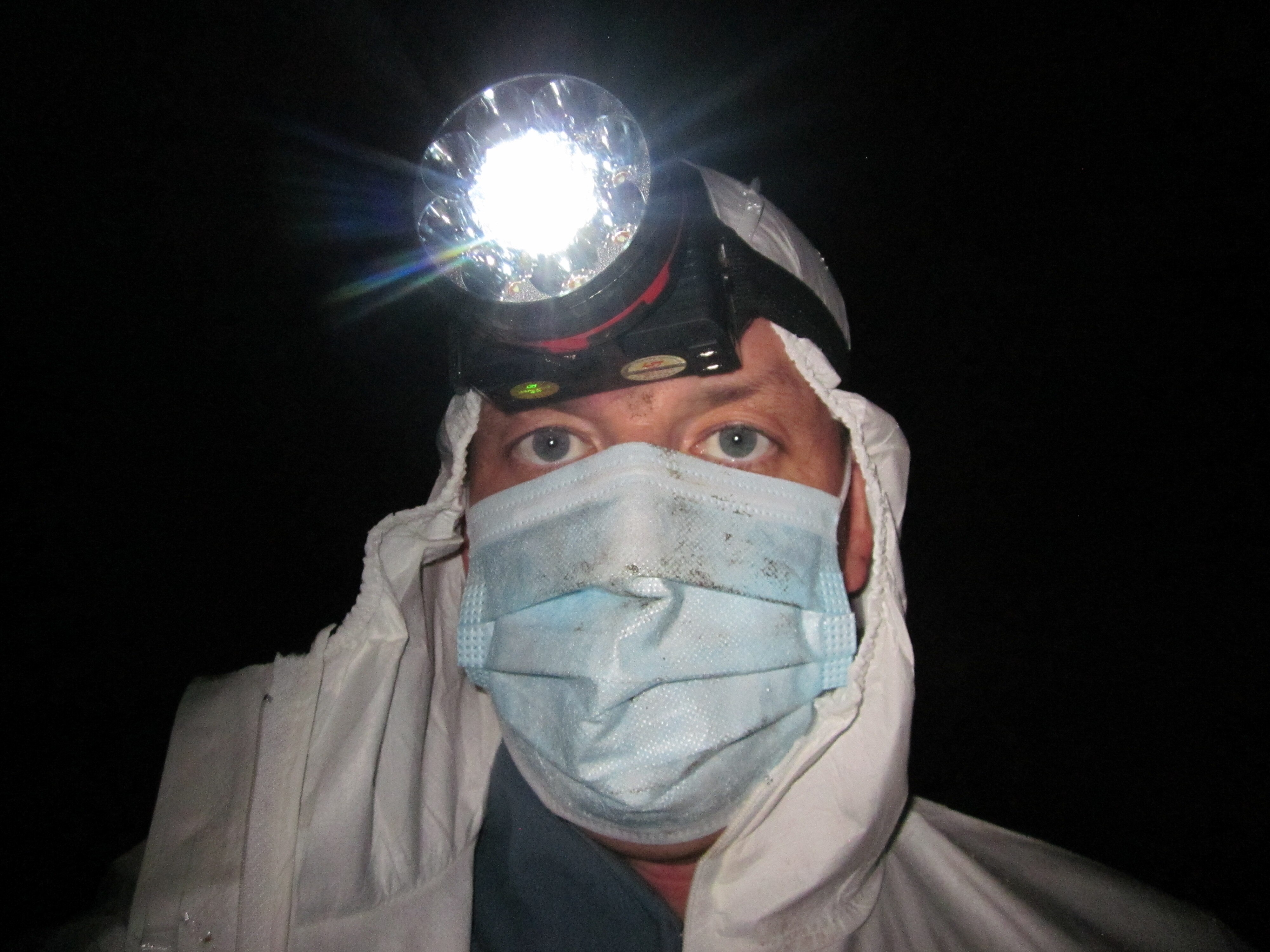 Eddie Holmes wins Prime Minister's Prize for Science for work on COVID ...