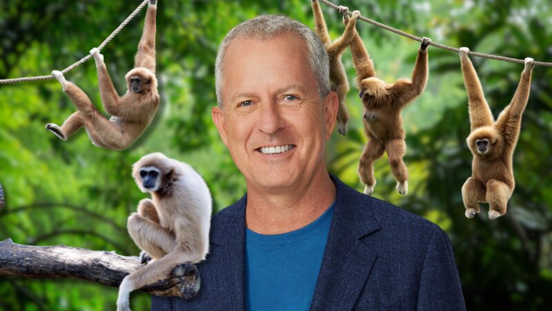 Linguist Daniel Midgley weighs in on the 'skol', 'skull' and 'scull ...