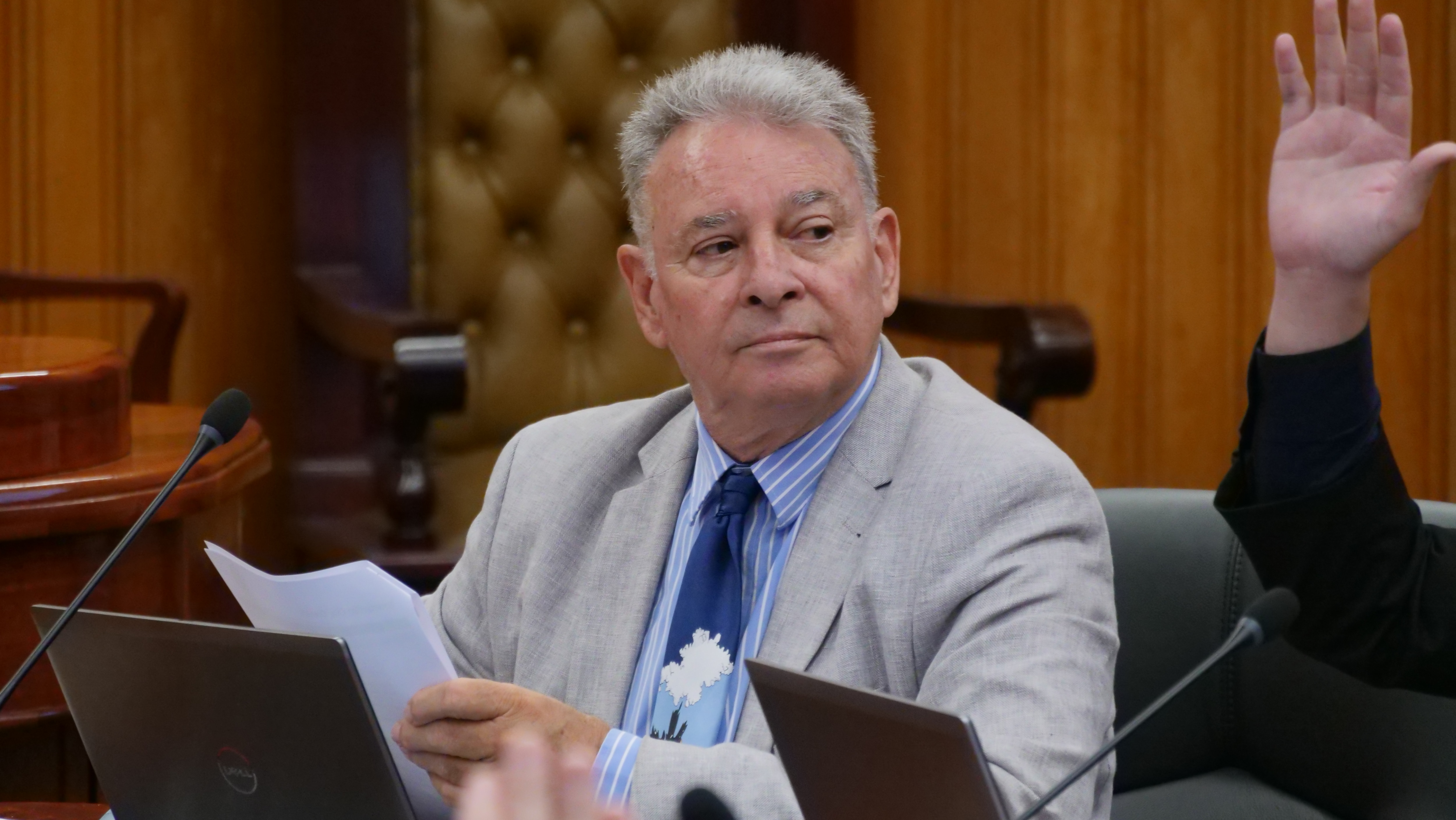 Ann-Maree Greaney appointed Townsville's new acting mayor - ABC News