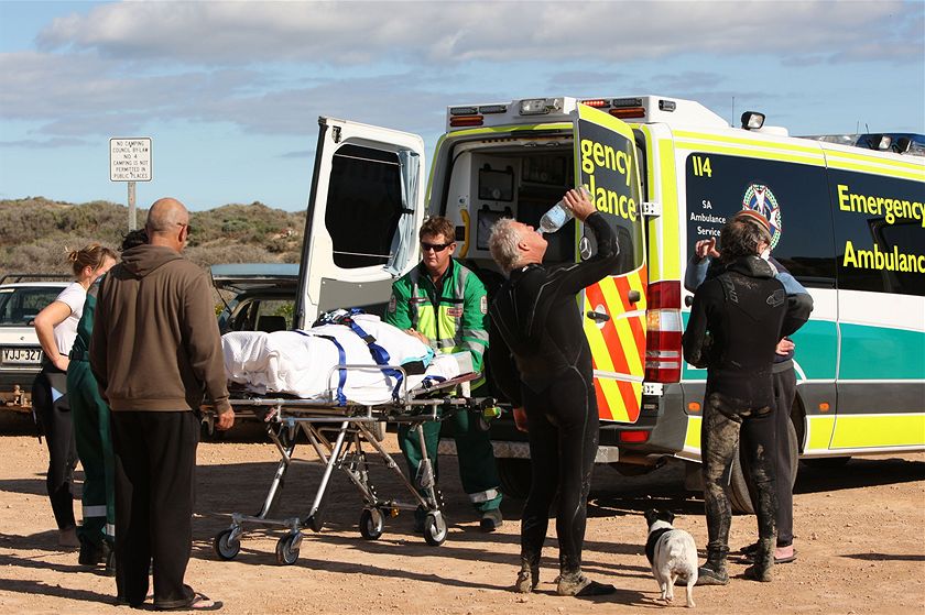 Surfer survives shark attack - ABC News