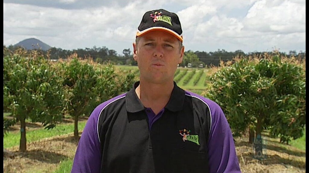 Gavin Scurr Interview - ABC News