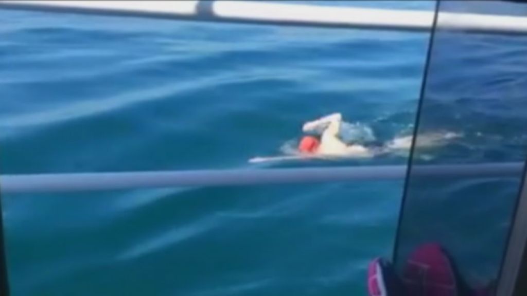 Canberra teen Ben Freeman swimming the English Channel - ABC News